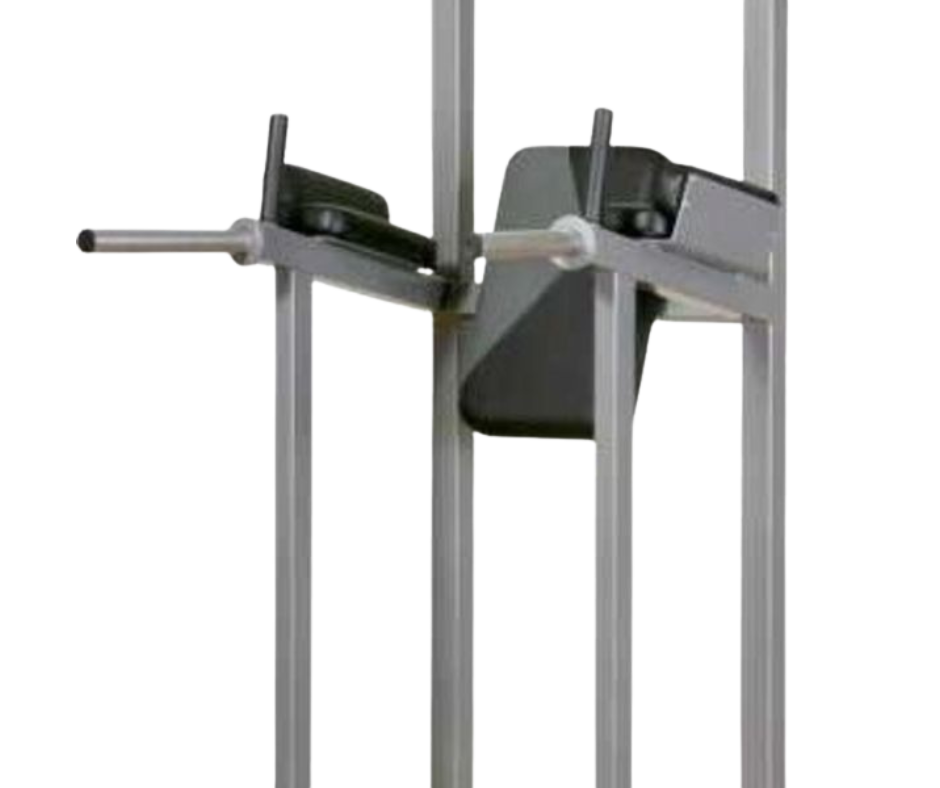 BT312 Multifunctional Stand — Pull-Up/Dip/Abdominal Combo | Station for ...